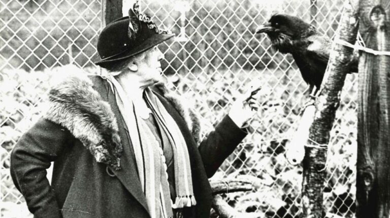 Miss Tothill And The Ravens • St Nicholas Priory